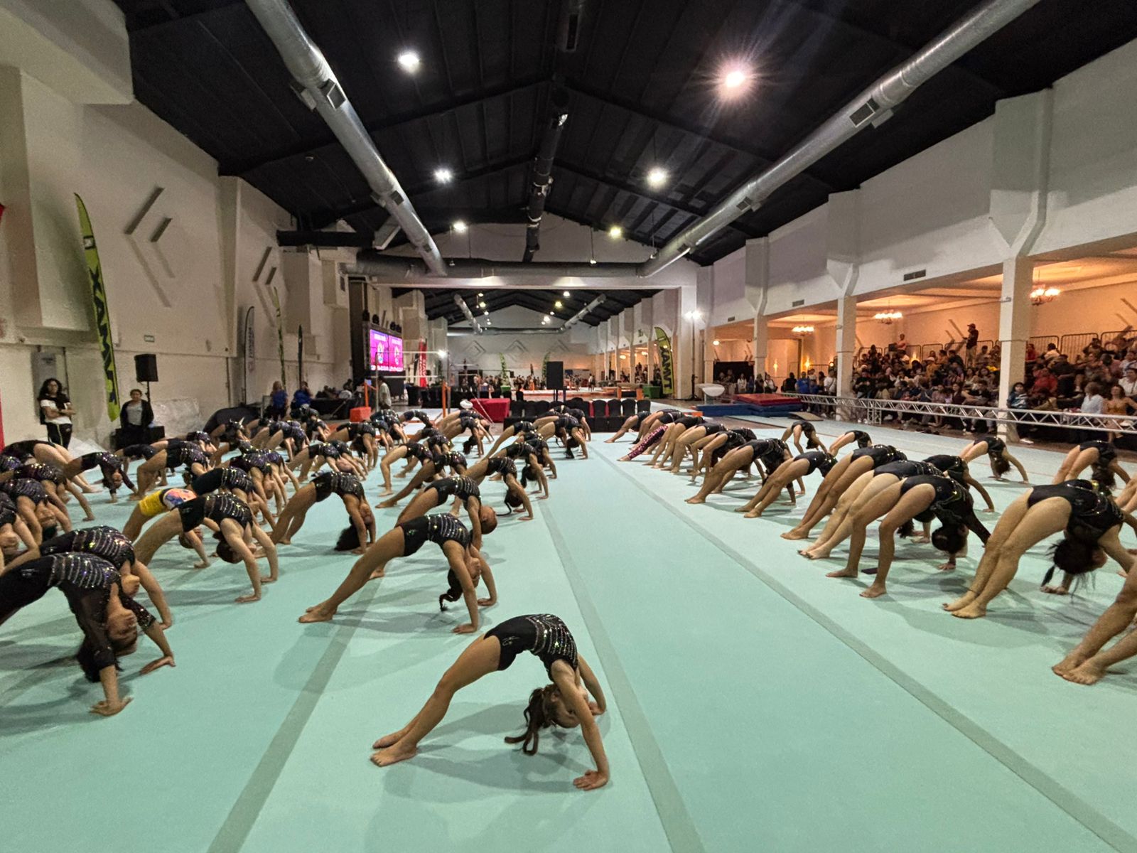 Copa IGA 2025: gimnasia artística brilla en Panamá hoy | Critica