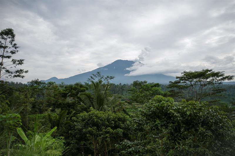 Volcán Agung de Bali entra en erupción (Video) | Critica