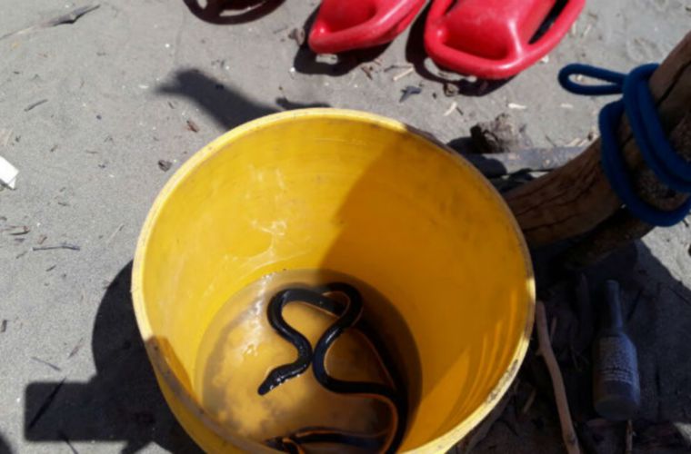 Recomiendan a los bañistas no visitar la playa Monagre | Critica