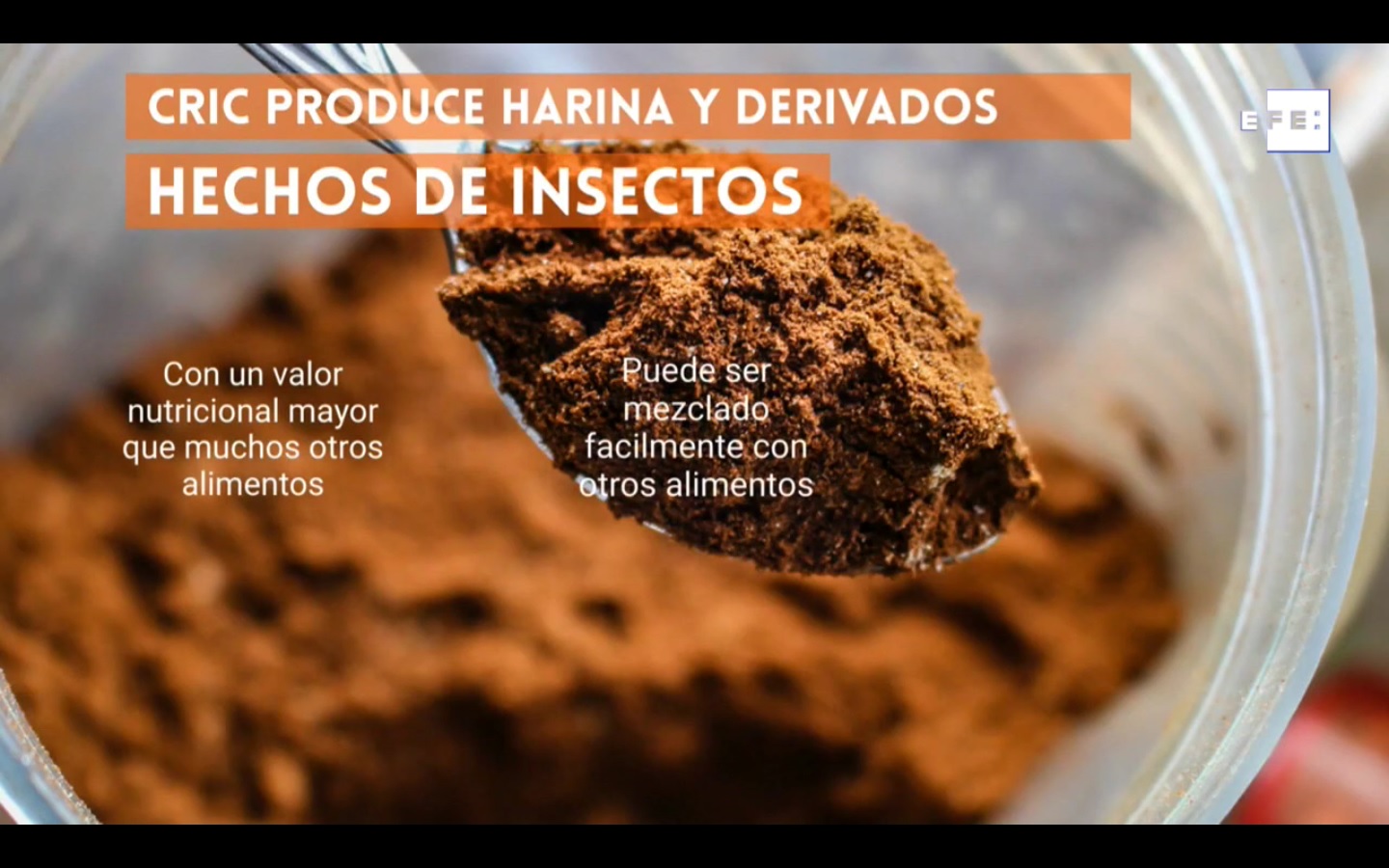 Harina de insectos y helado de grillos contra la escasez alimentaria ...