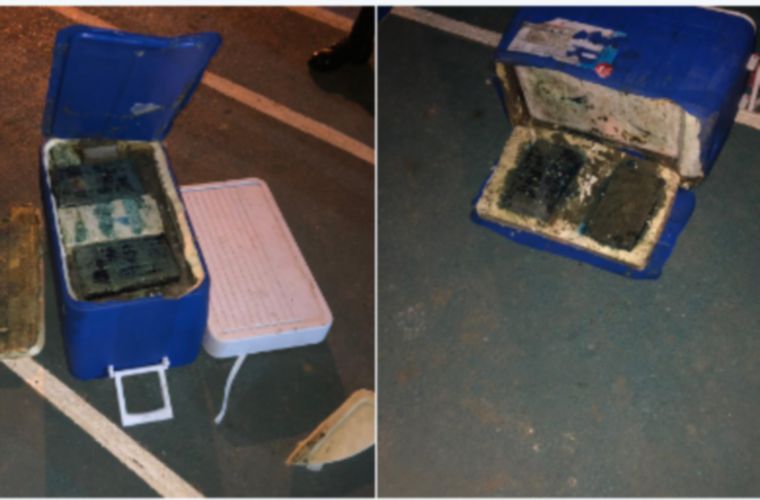 ¡Pichi bien frío! | Critica