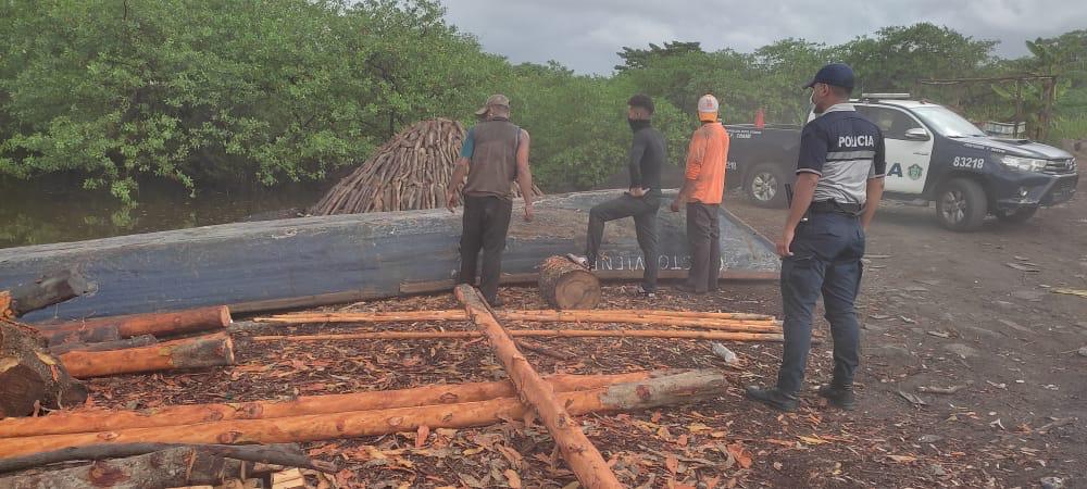 Aprehenden a 3 sujetos por cortar 42 varas de mangle | Critica