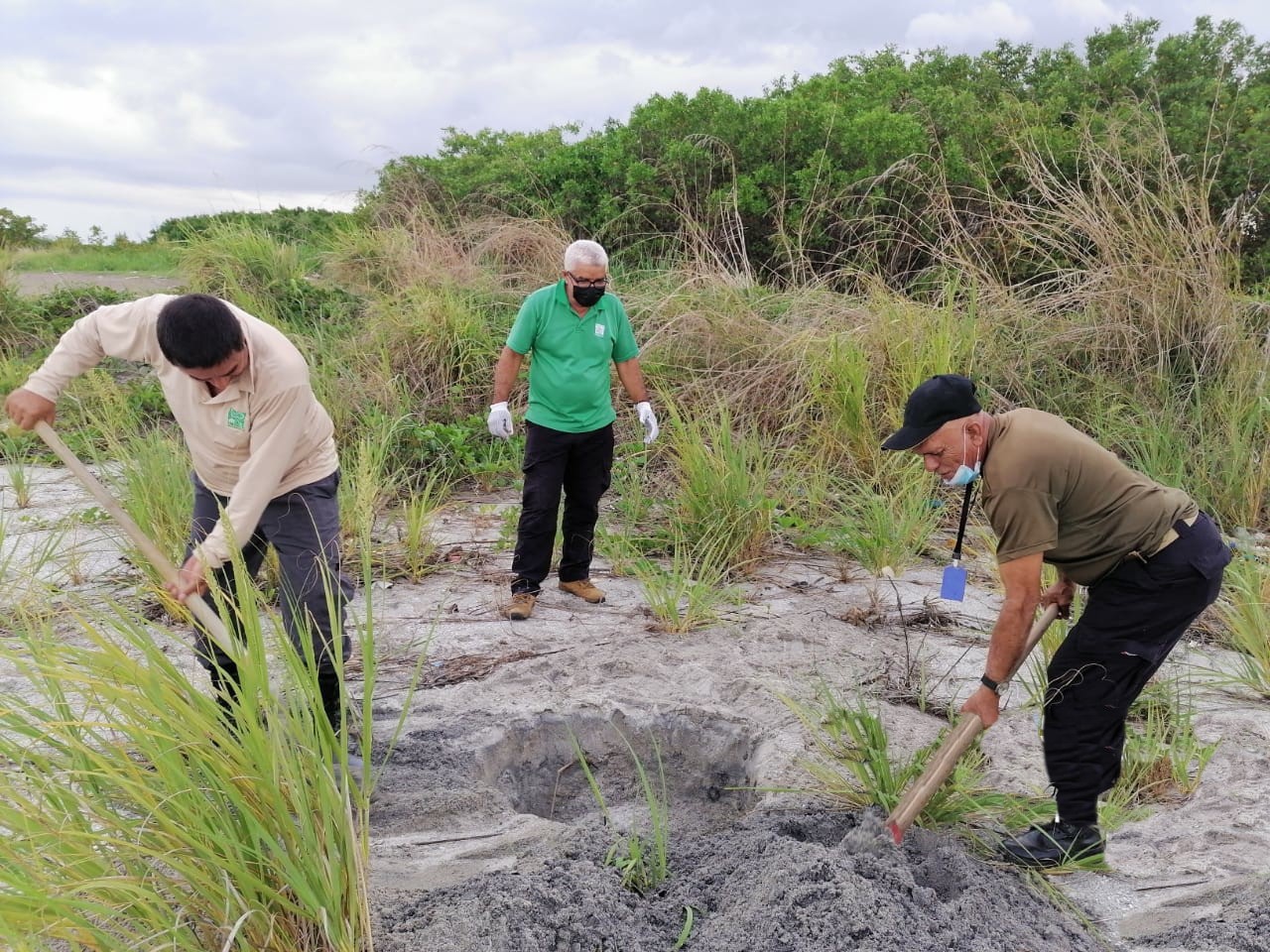 Investigan muerte de babillo en Capira | Critica