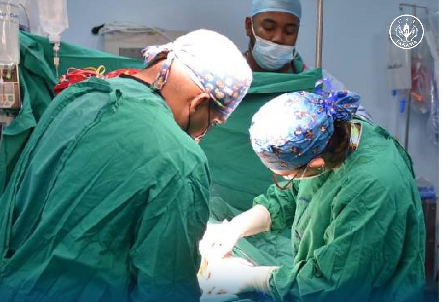 Donación de órganos: solidaridad para salvar vidas | Critica