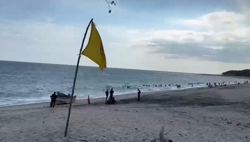 Hélice de un bote corta a hombre que buceaba en Coclé, falleció | Critica