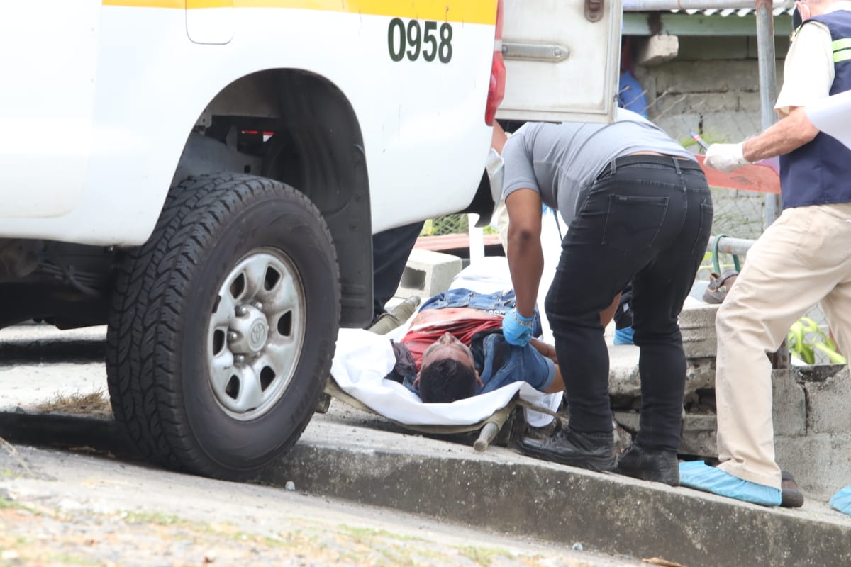 Acribillan a "Mente Pollo" | Critica