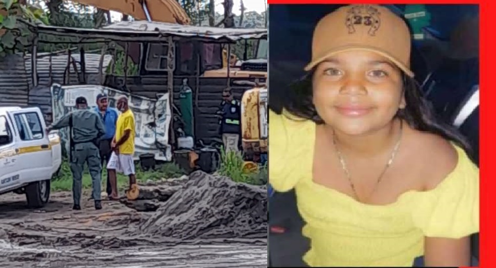 Sospechoso del crimen de Lina Rojas regresa a la escena | Critica