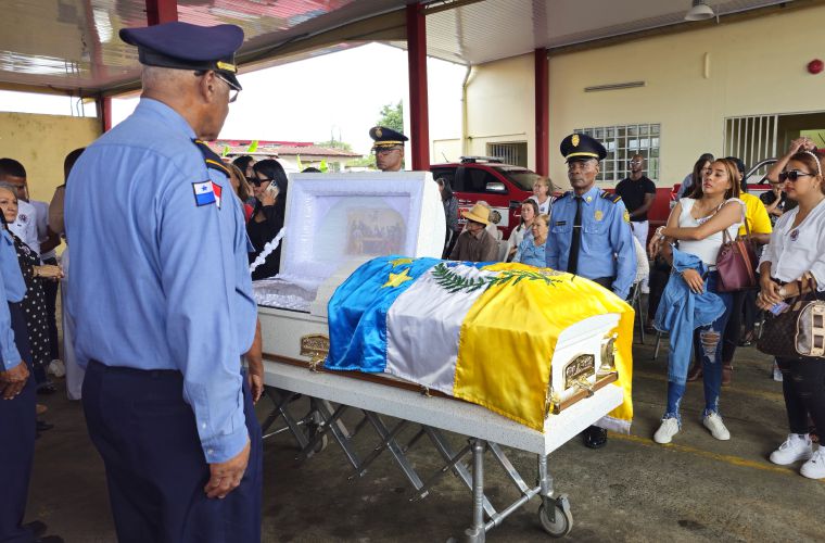 ¡Todos Somos Delfia! | Critica