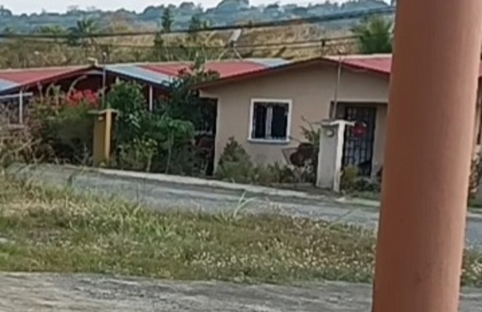 Piden al ministro Pino ponerle un alto a cabo bullero | Critica