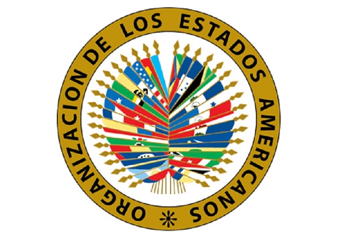 Misión de la OEA está enterada de recurso contra Mulino | Critica