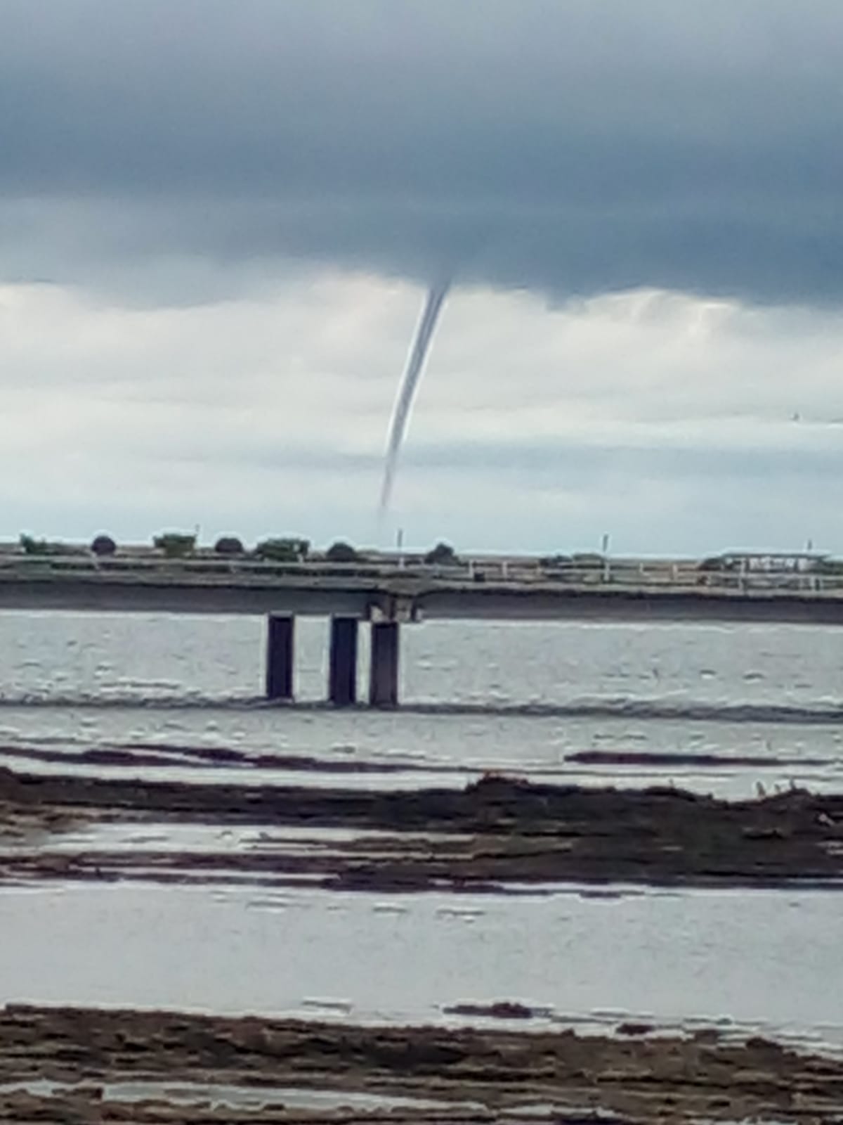 Tromba marina en la bahía | Critica