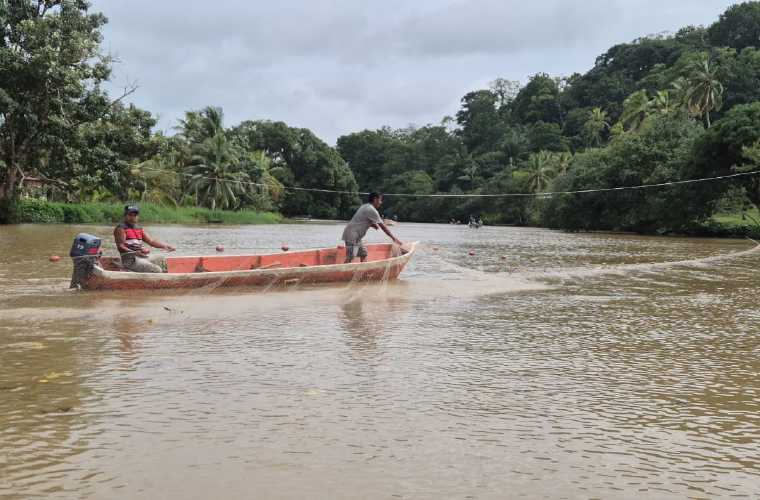 Anati: Titulación de Río Indio y Cuenca del Canal no tiene costo | Critica