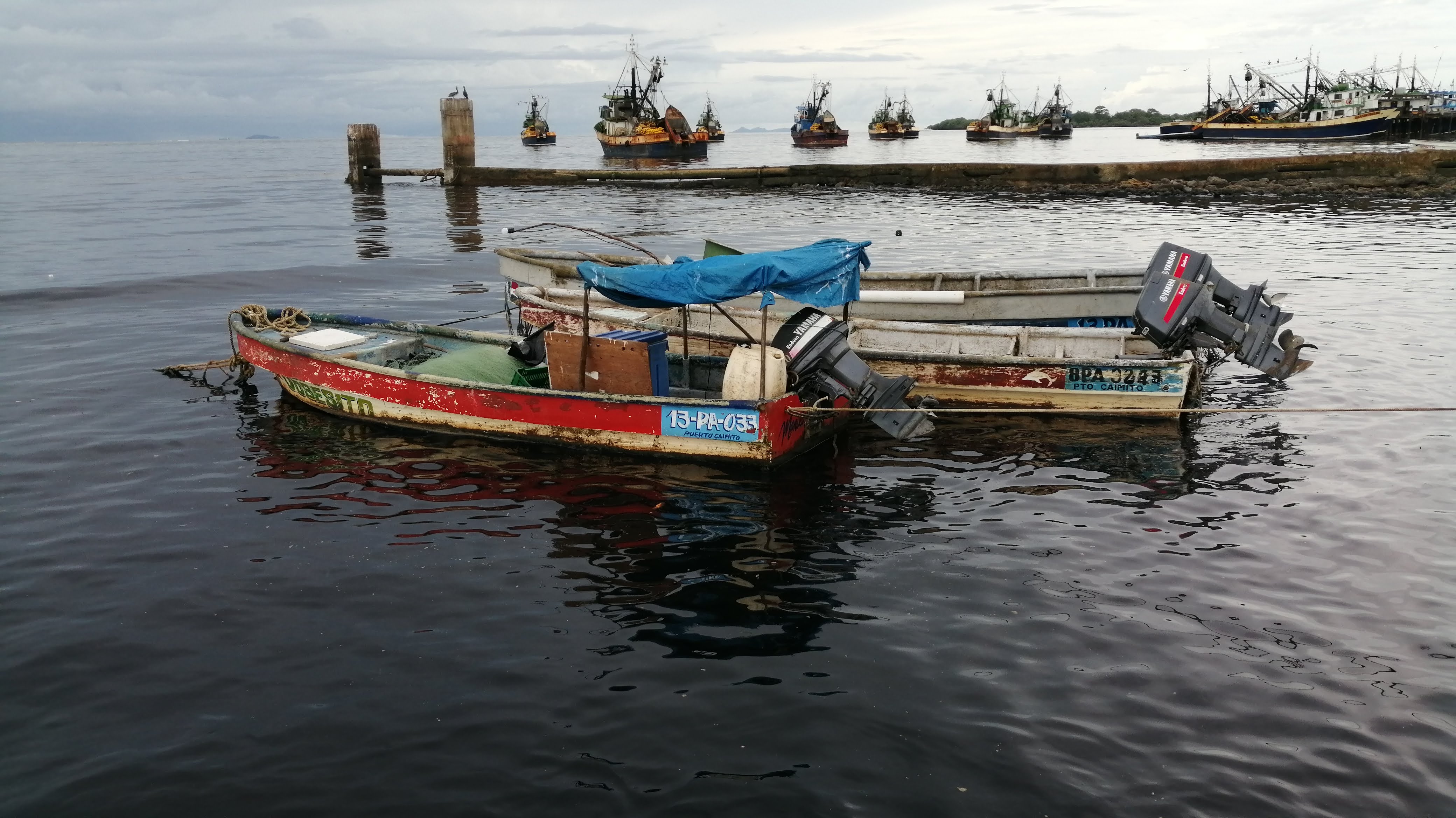 Malas condiciones climáticas afectan a pescadores de Puerto Caimito ...