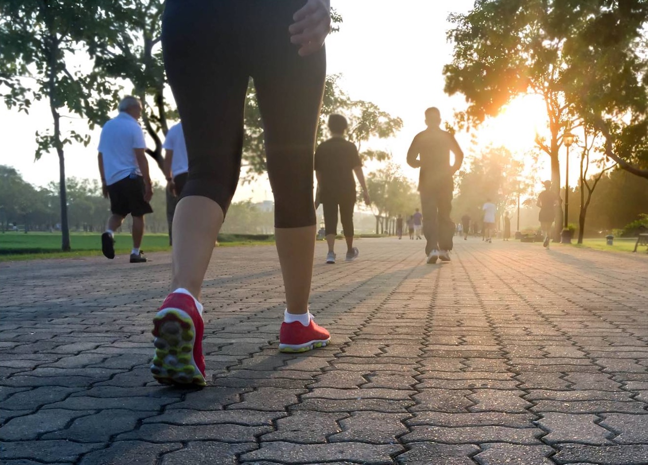 ¡No necesitas un gimnasio! El secreto para transformar tu salud ...