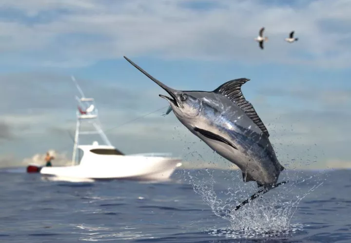 Nuevas regulaciones para la pesca deportiva y proteger los peces ...